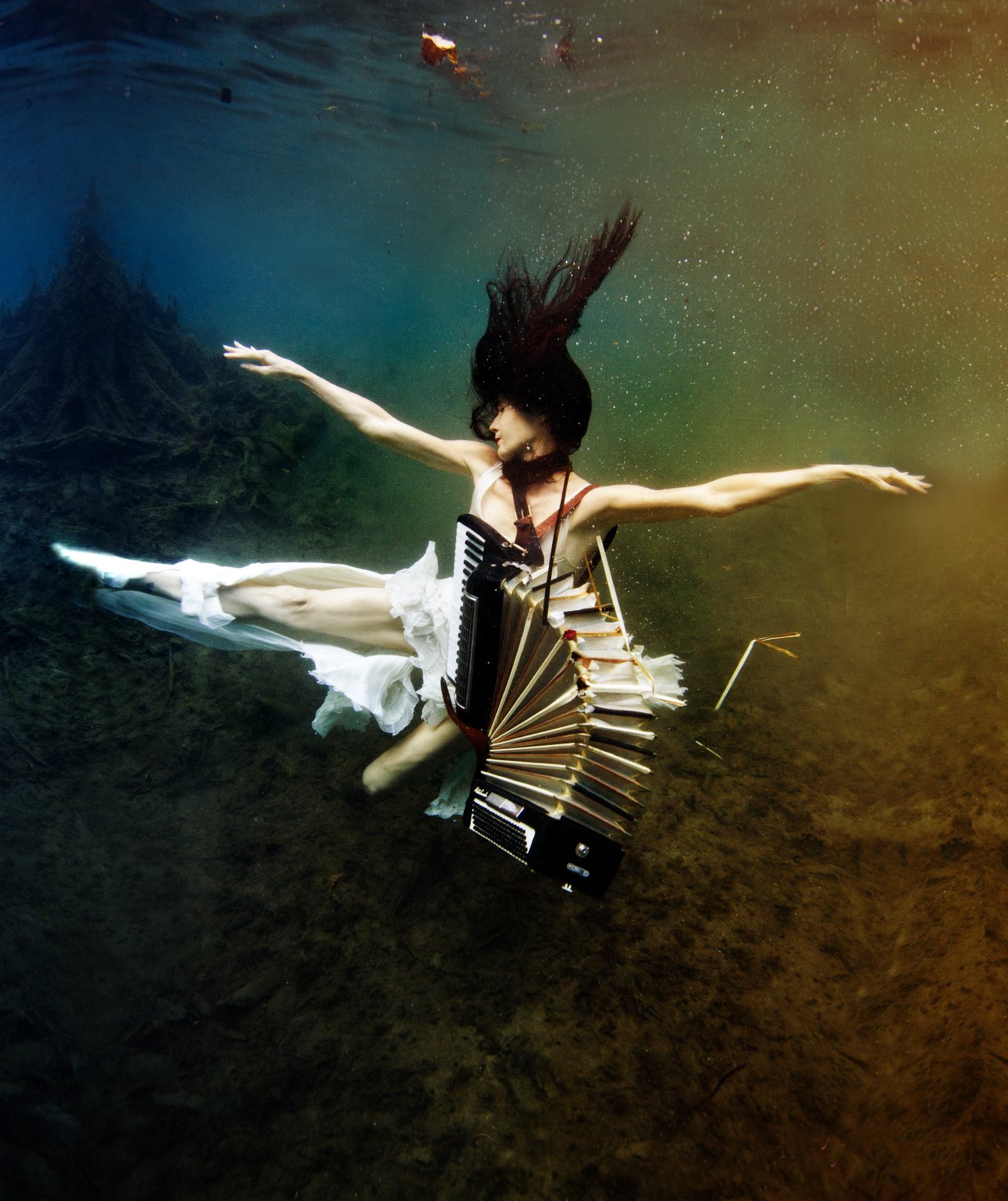 Under Water Photographer 30A, Grayton & Rosemary Beach - Dawn Whitty