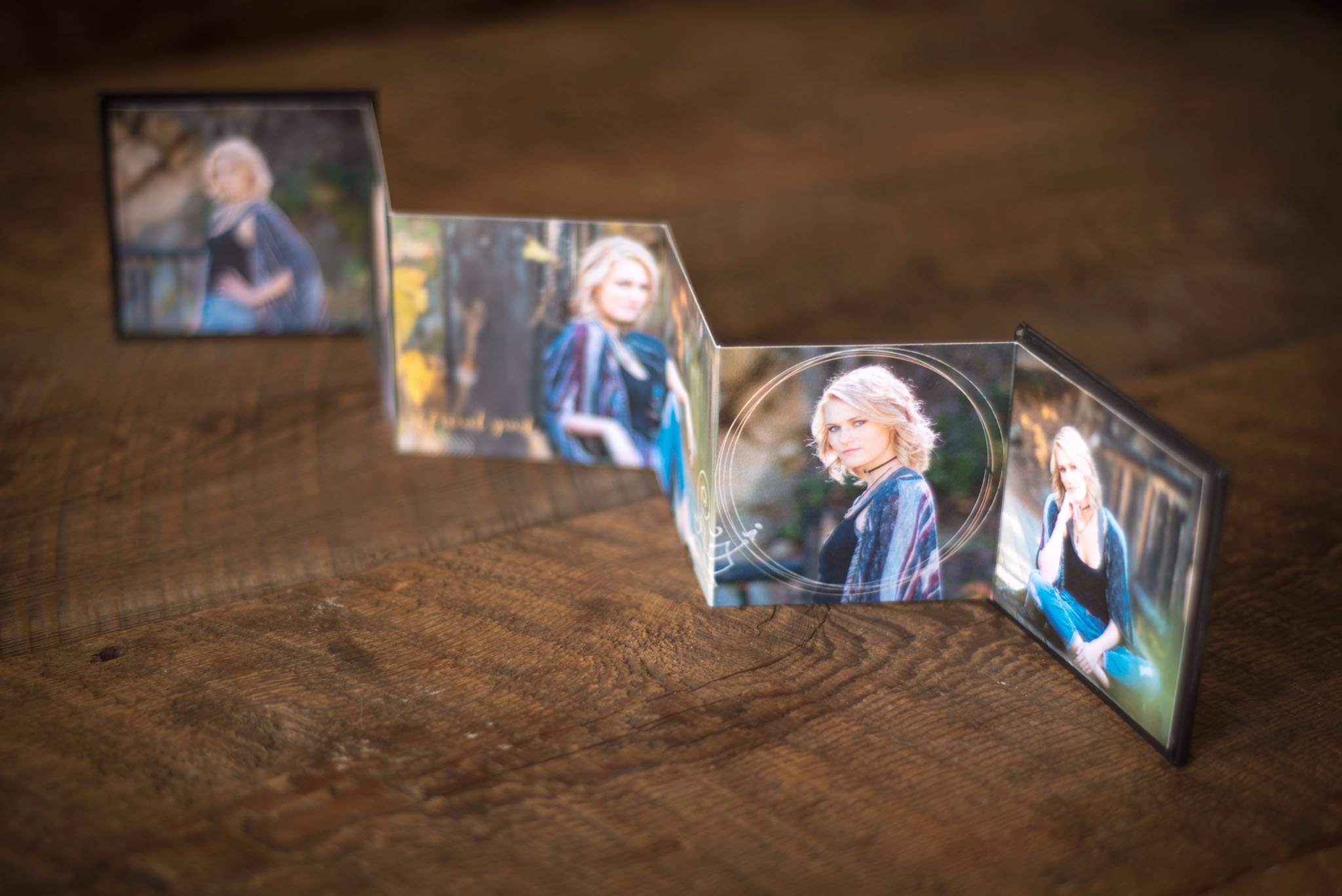 Adorable Accordion - Beau Bella Photography