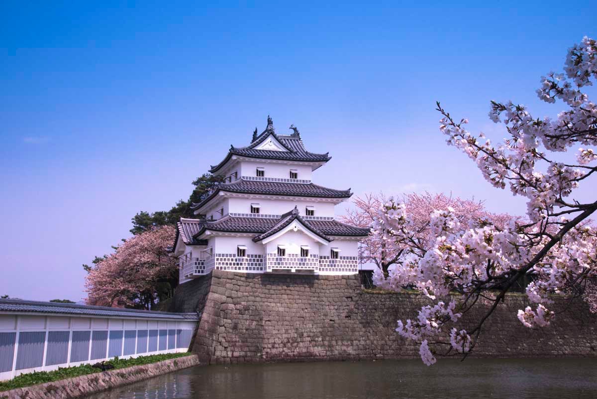 Shibata Castle Happy Hanami 2017 - Blain Harasymiw Photography