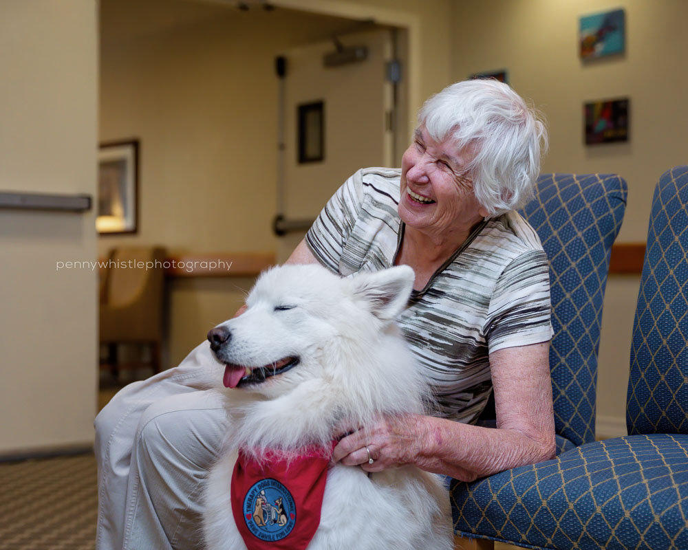 Therapy Dog at Work