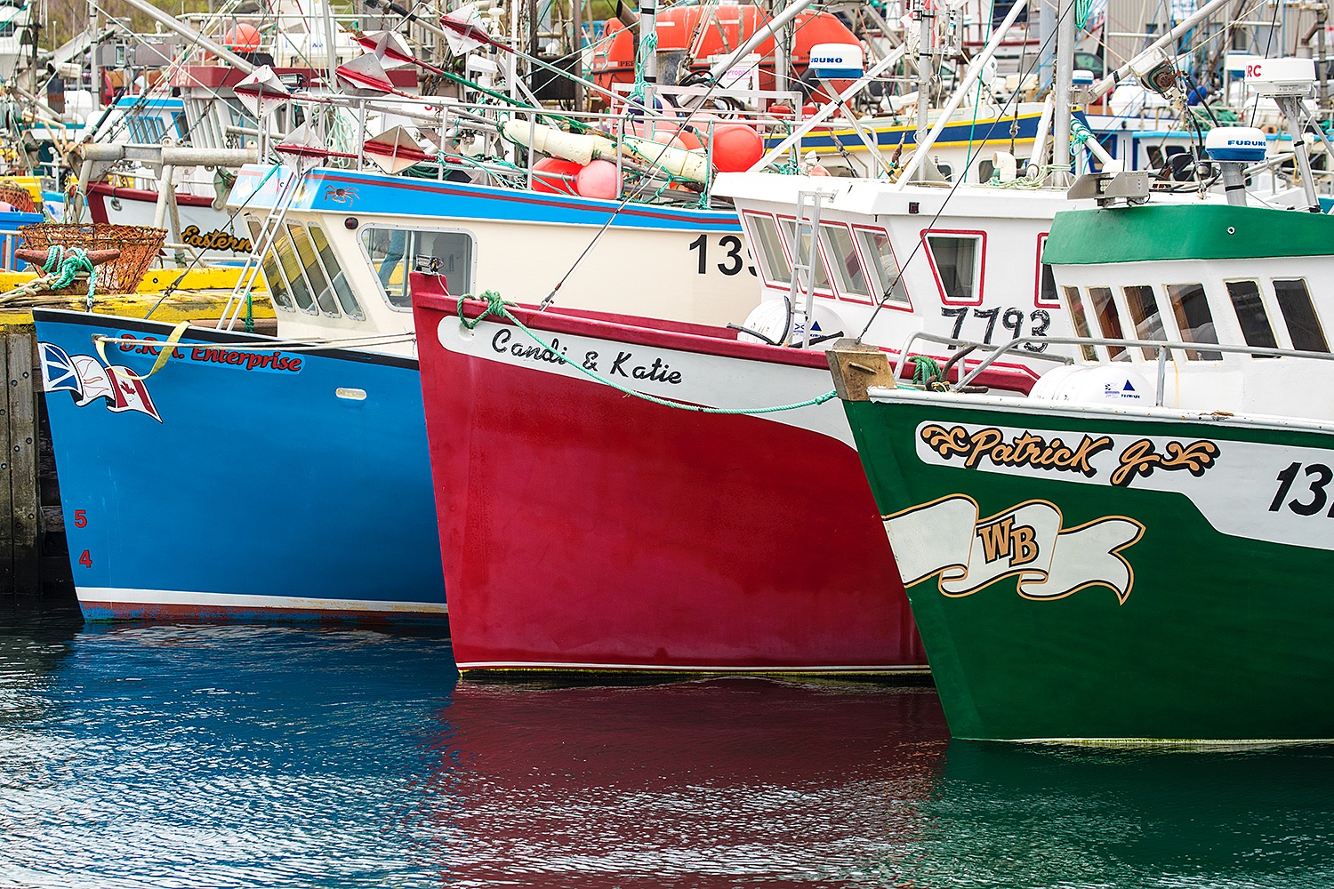 Newfoundland - Jim Zuckerman photography & photo tours