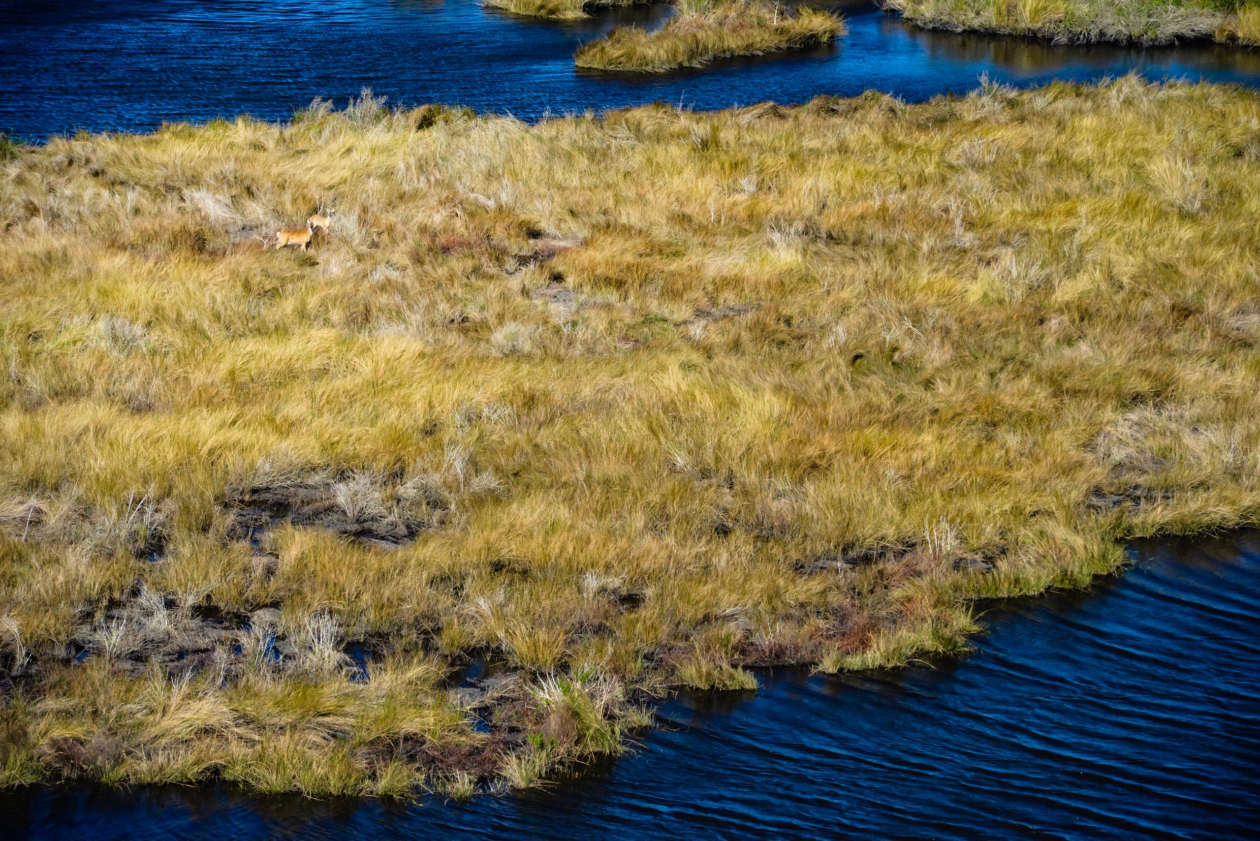 NATURAL TEXTURES STUDY VIA AERIAL PHOTOGRAPHY - Lindsey Janies ...
