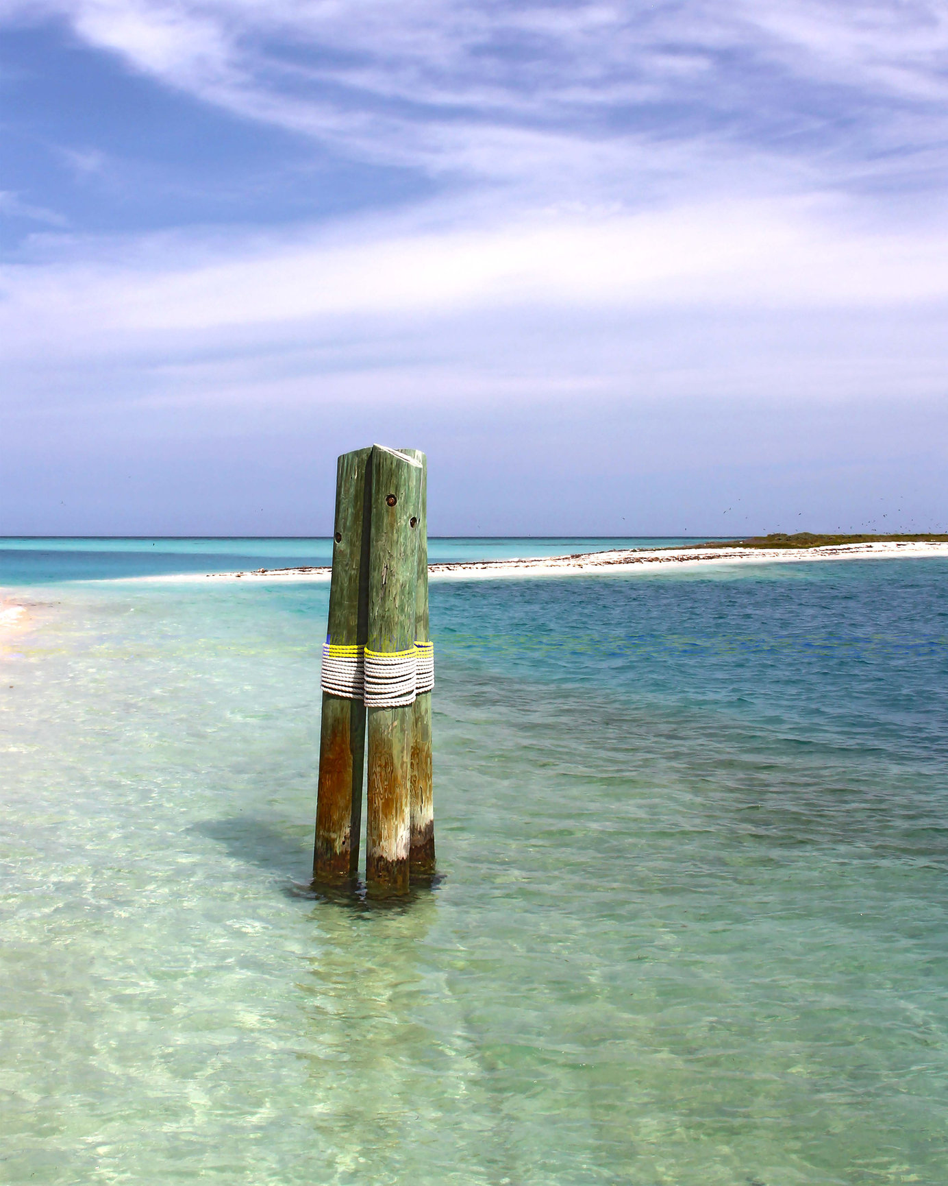 Buy Michael Procaccini Art | Art On Duval Key West