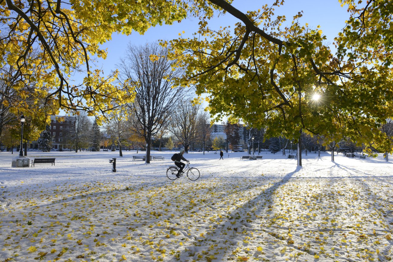 London Images - Richard Bain