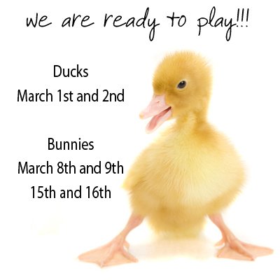 The Ducks and Bunnies are here - Nickolson's Portrait Studio