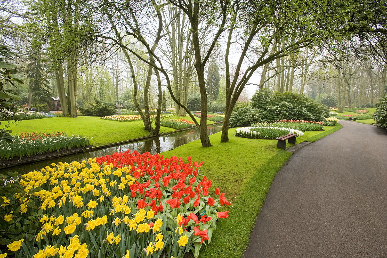Keukenhof Gardens - Jim Zuckerman photography & photo tours