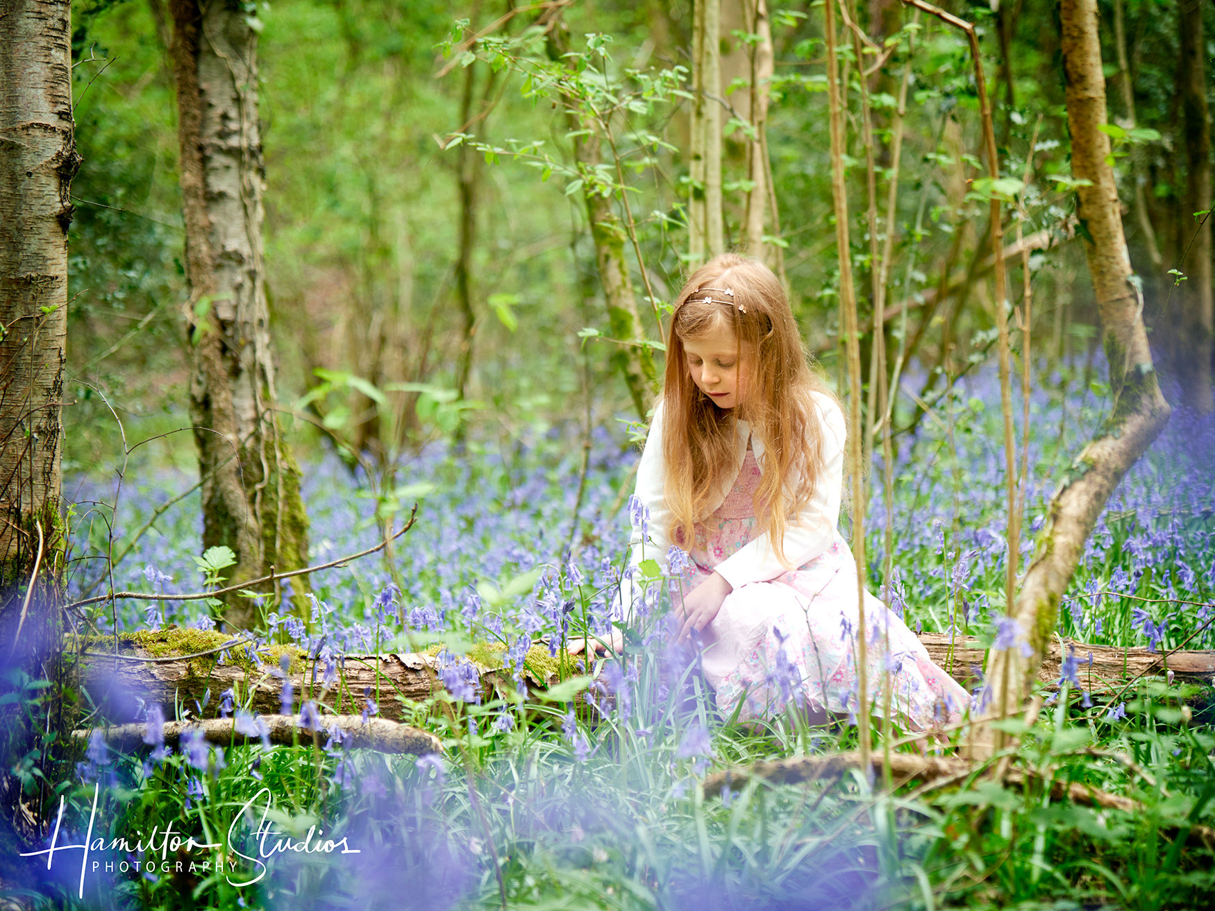 Hamilton Studios - East Grinstead Photographer - Family Portrait ...