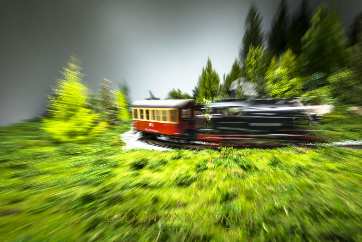 Zoom Burst Zoom Effect - Blain Harasymiw Photography