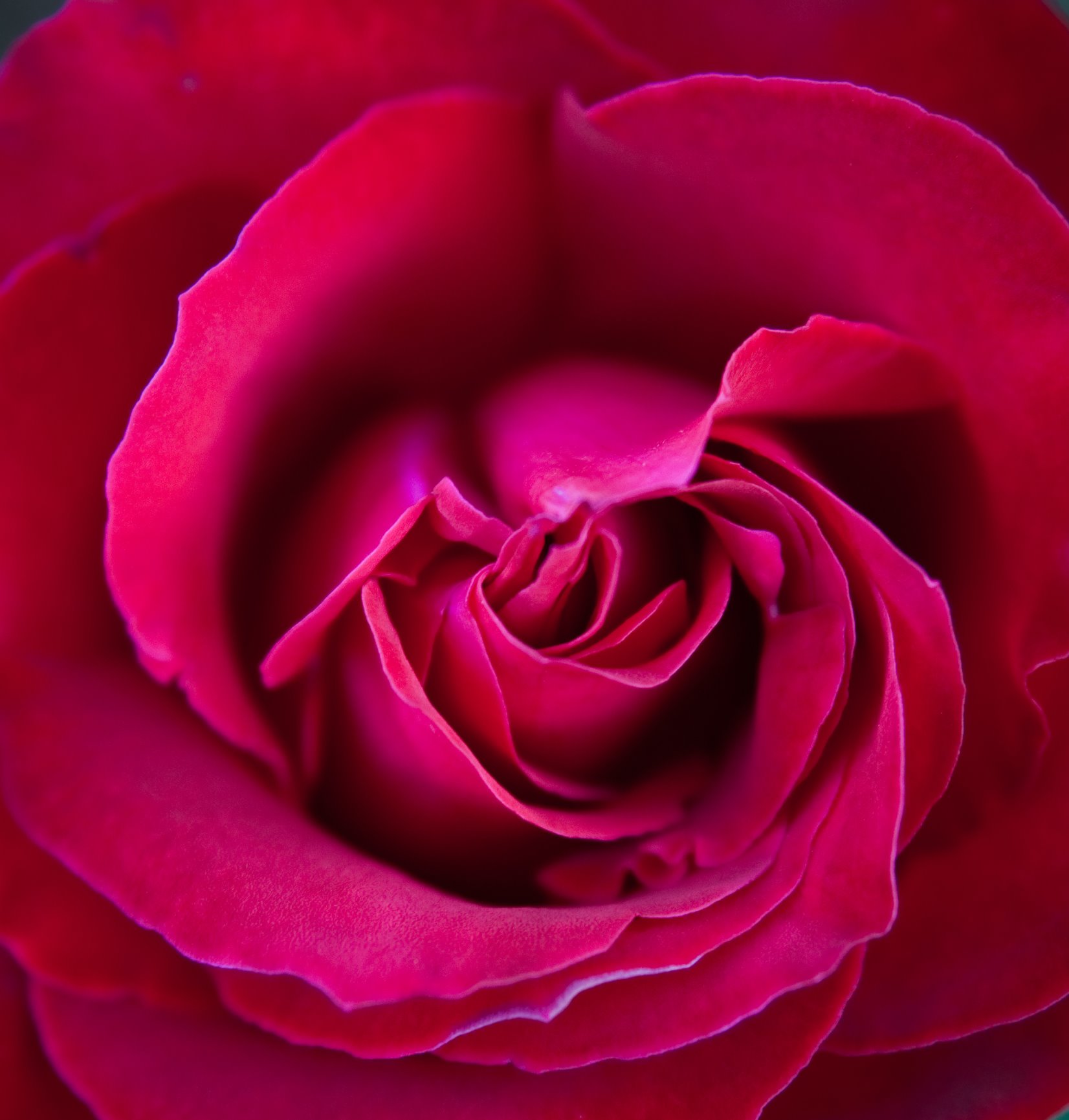 COLOUR - Eric Wiles Photography