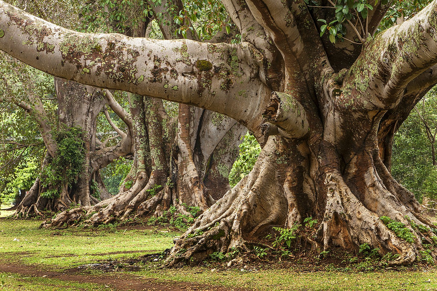 Burma (Myanmar) - Jim Zuckerman photography & photo tours