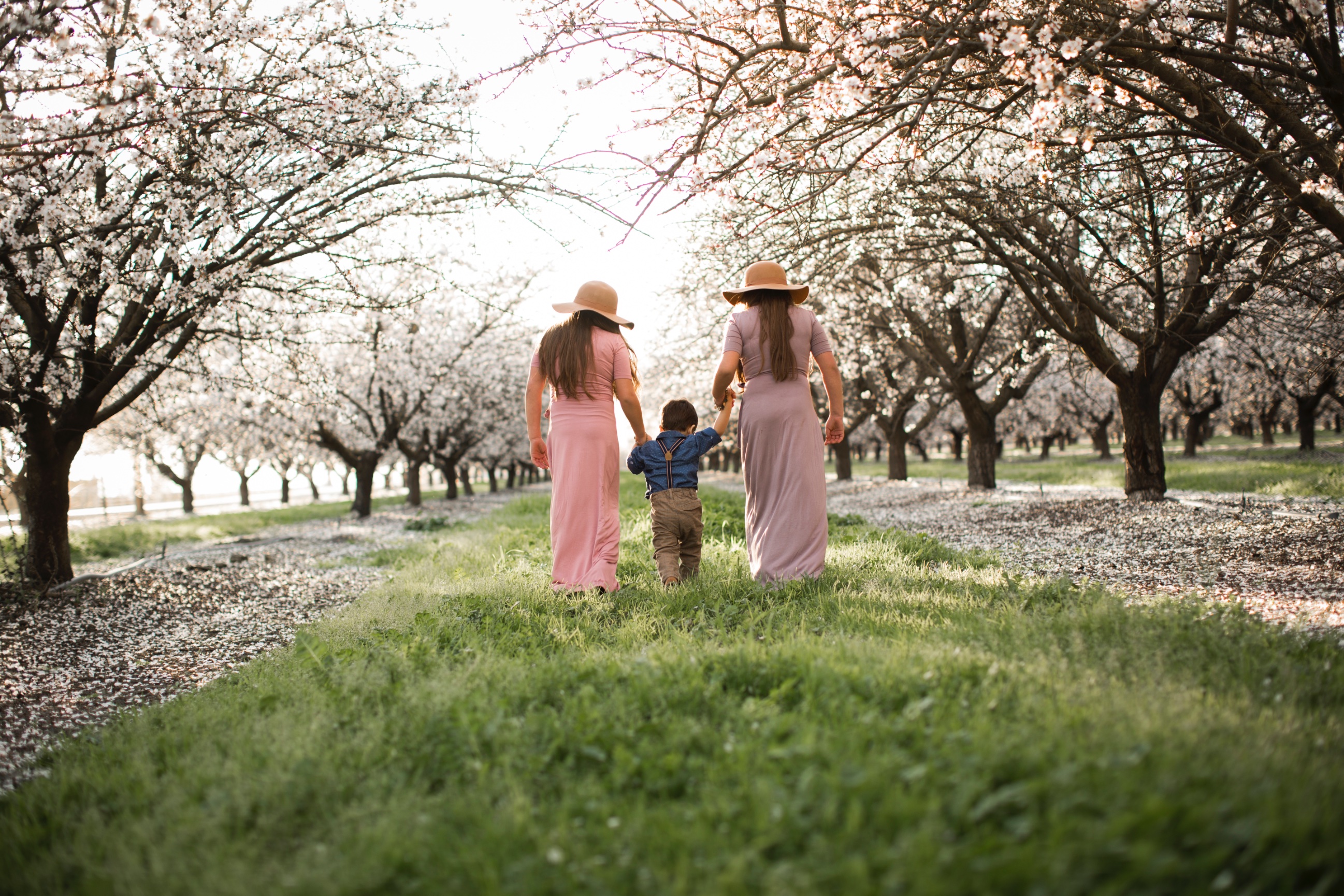 Home - Janette Smith Photography