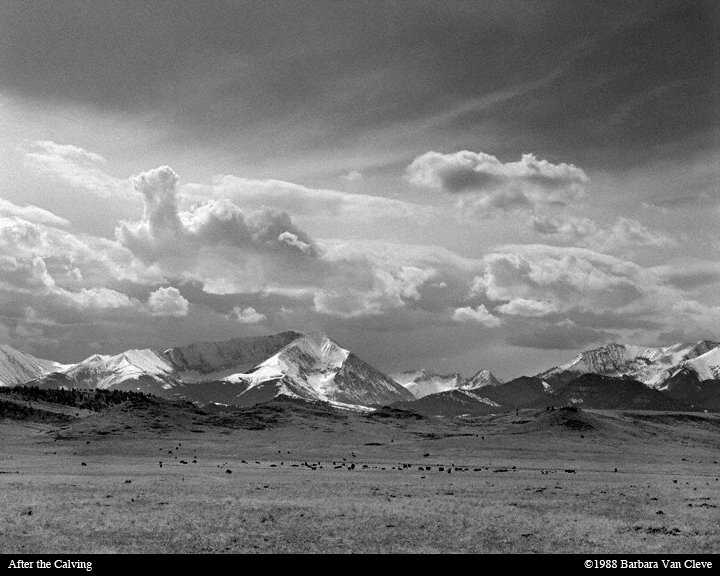 RANCH LIFE - Barbara P Van Cleve