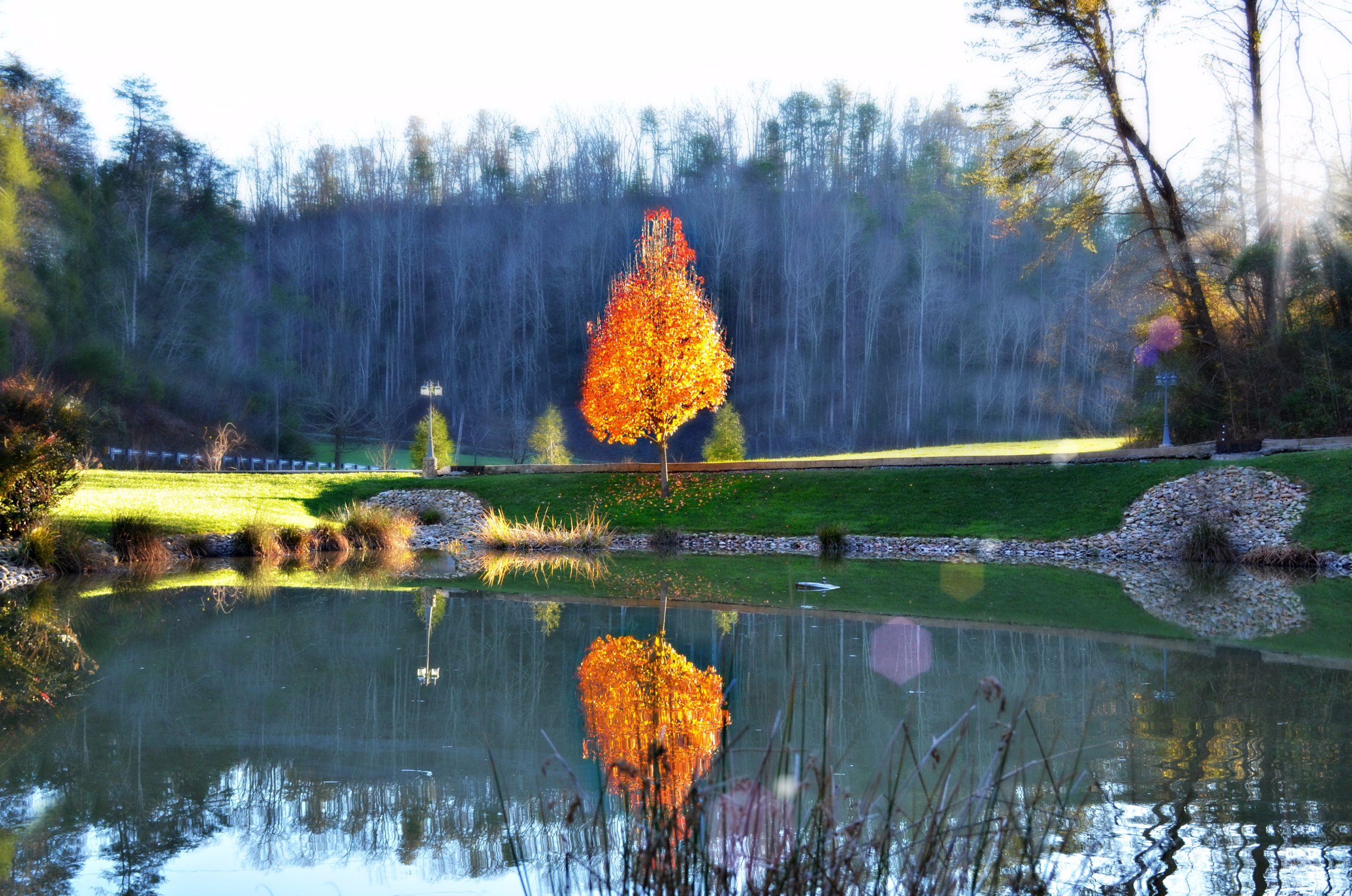 Chapel & Grounds - Gatlinburg's Little Log Wedding Chapel