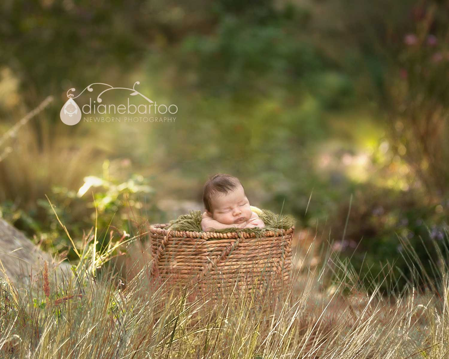 Outdoor Newborn Session - Riverside CA, Corona CA (copy) - Diane Bartoo ...