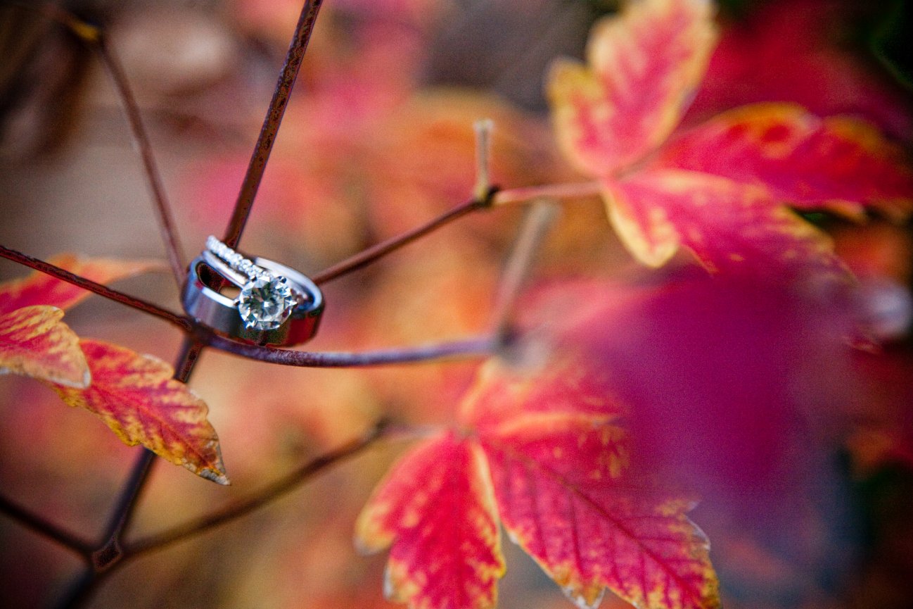 Rachel Beck Photography - Exceptional Wedding Photography Services