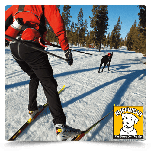 Omnijore Joring System Ruff Wear - Dogzies Canine School of Excellence