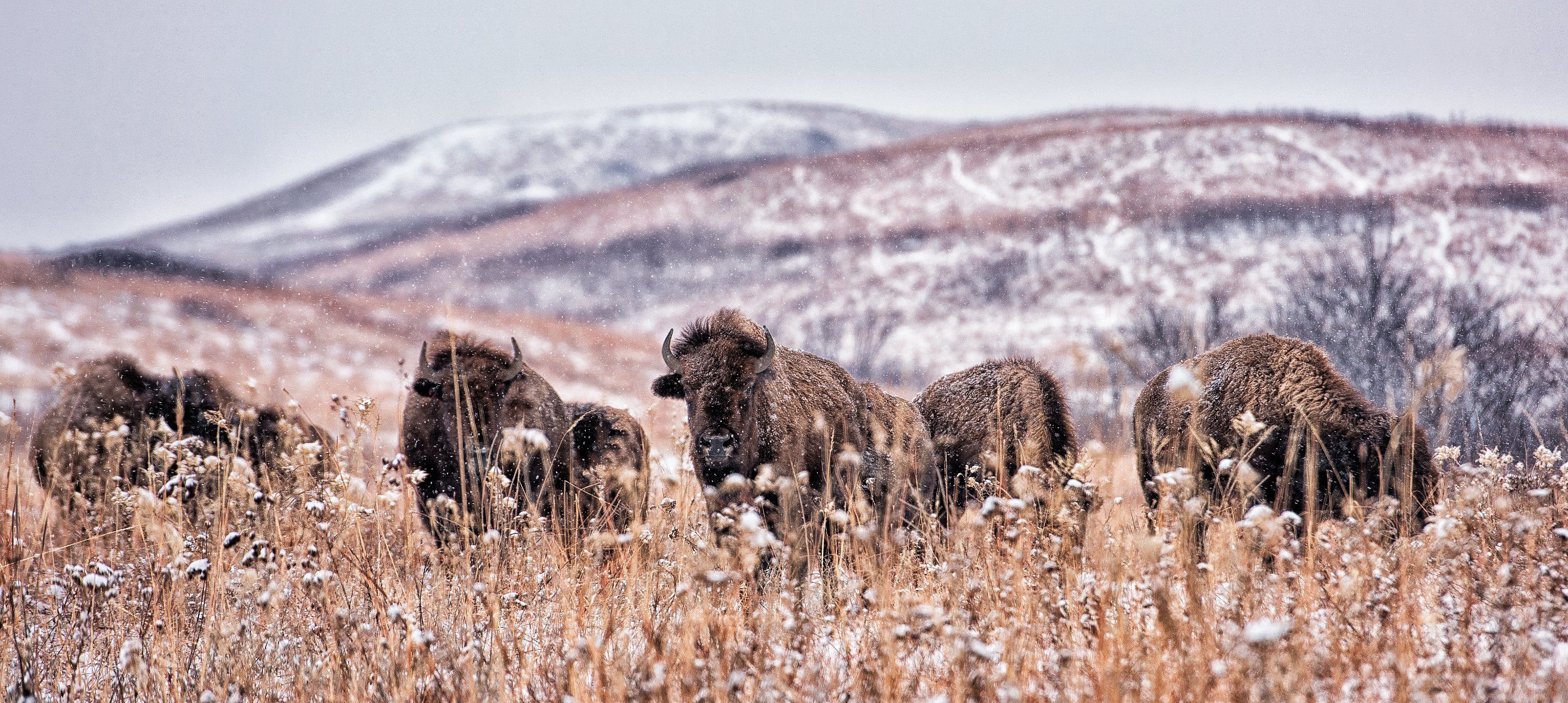 Fine Art Portfolio | Rod Mikinski Photography