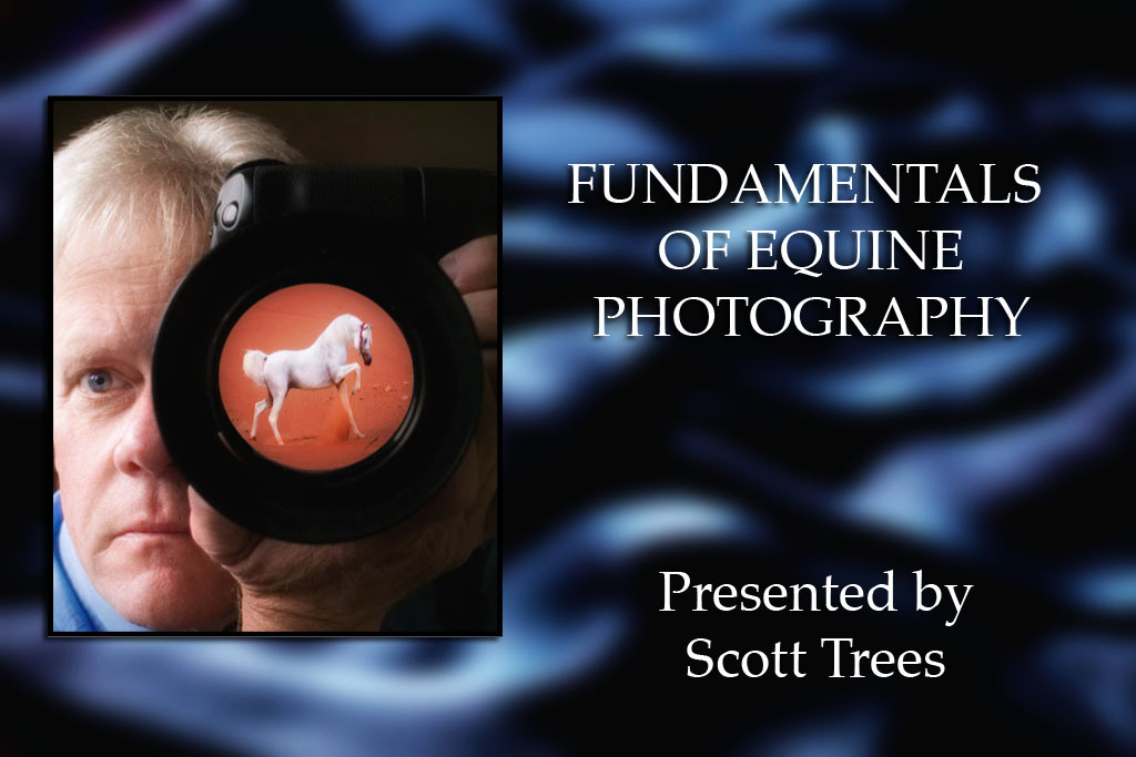 Fundamentals of Equine Photography - Scott Trees Photography
