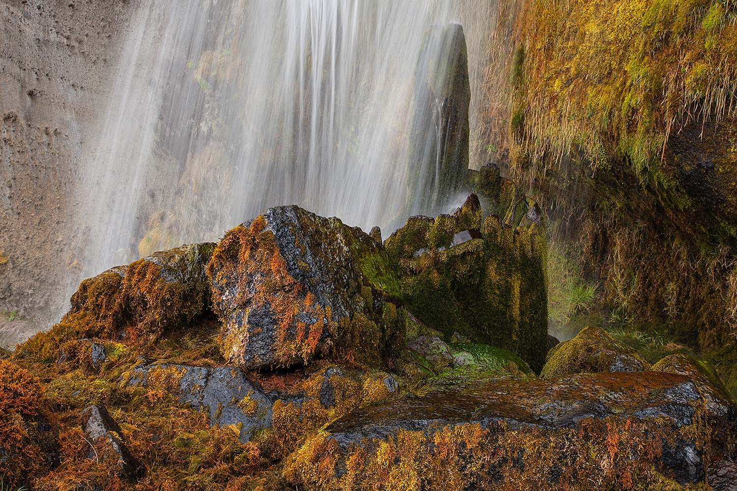 Juxtapositions - Jim Zuckerman photography & photo tours