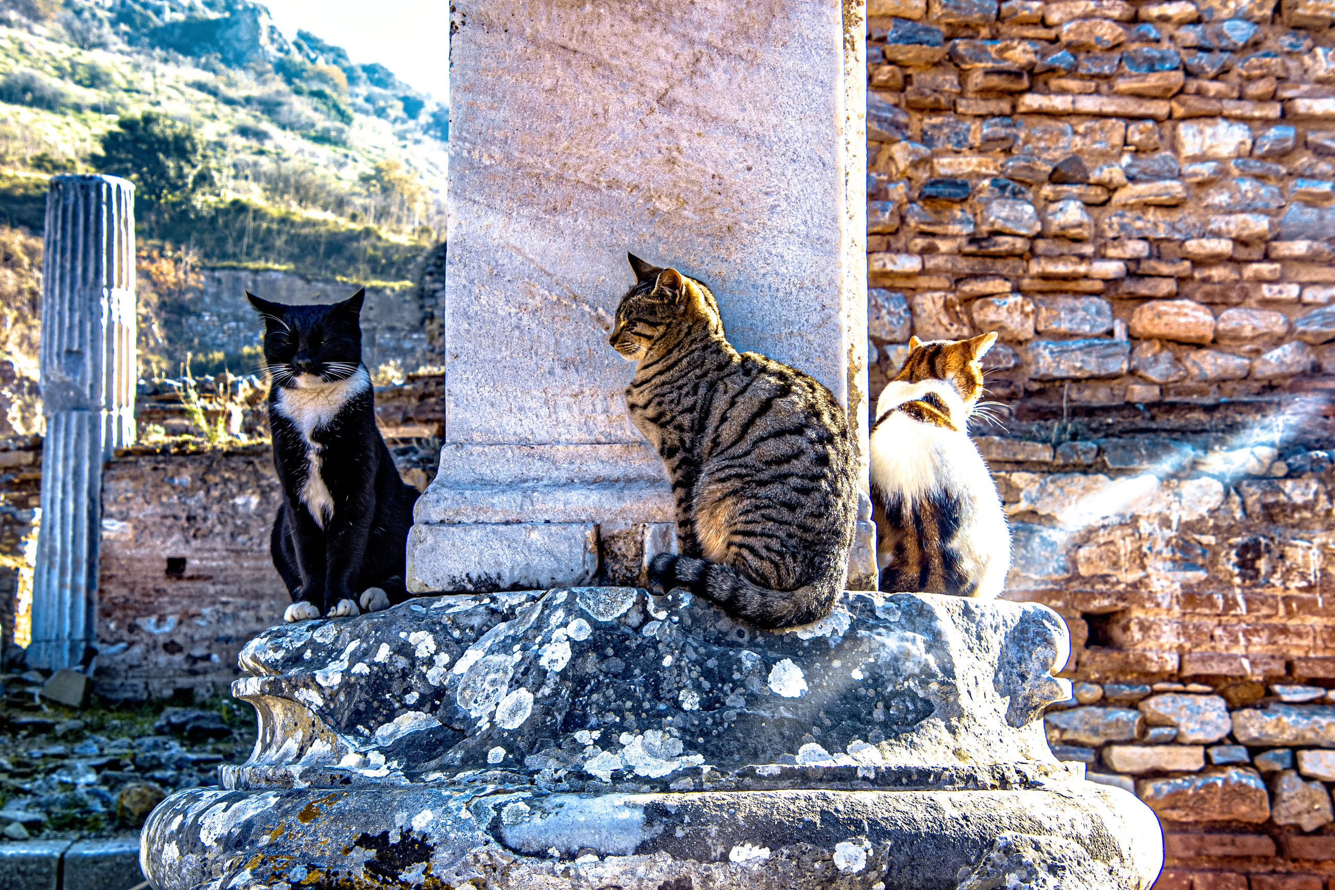 HOME - Garrett Chinn