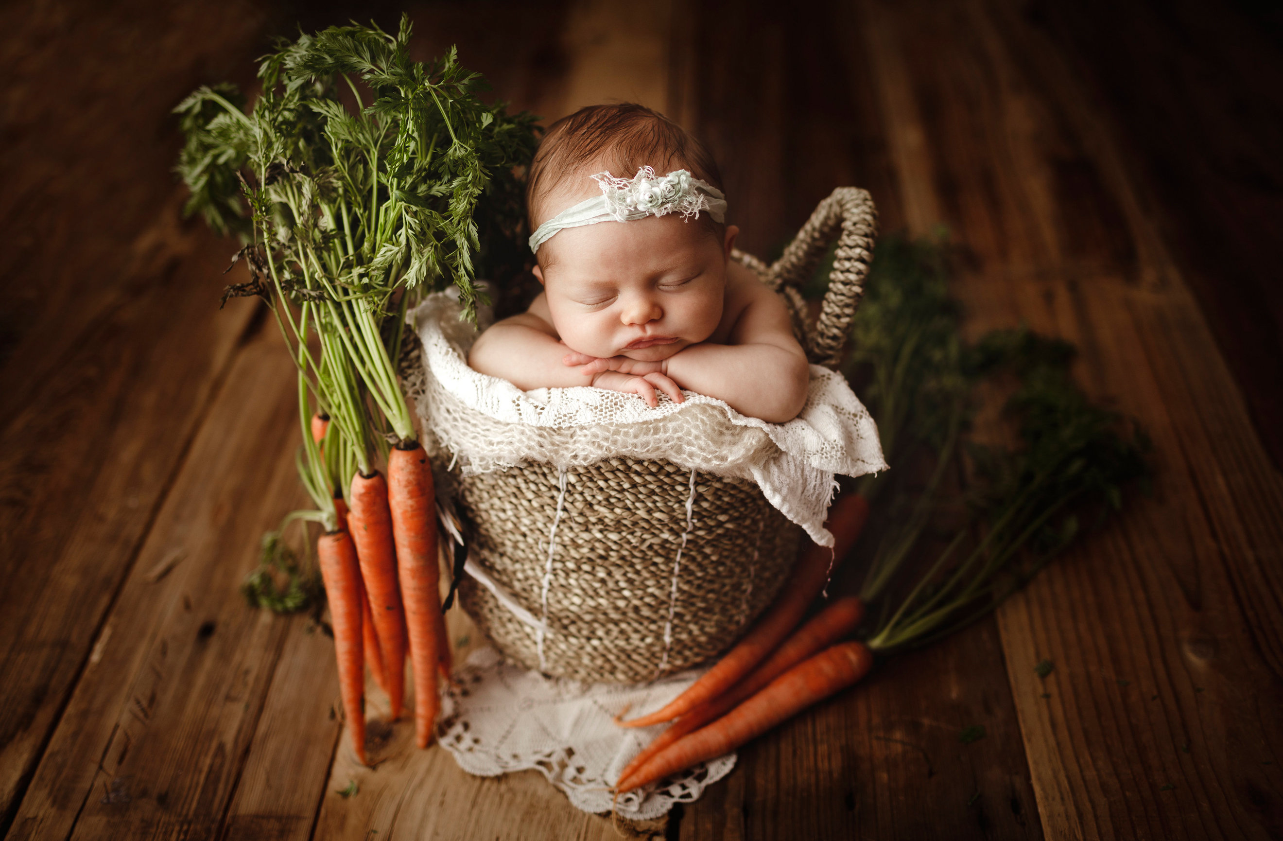 Stephanie Cotta Photography | Award-Winning St. Louis Newborn and ...