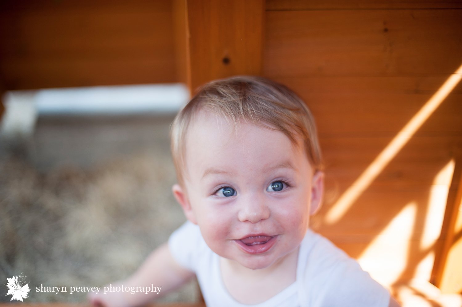 Baby Nolan - Sharyn Peavey Photography