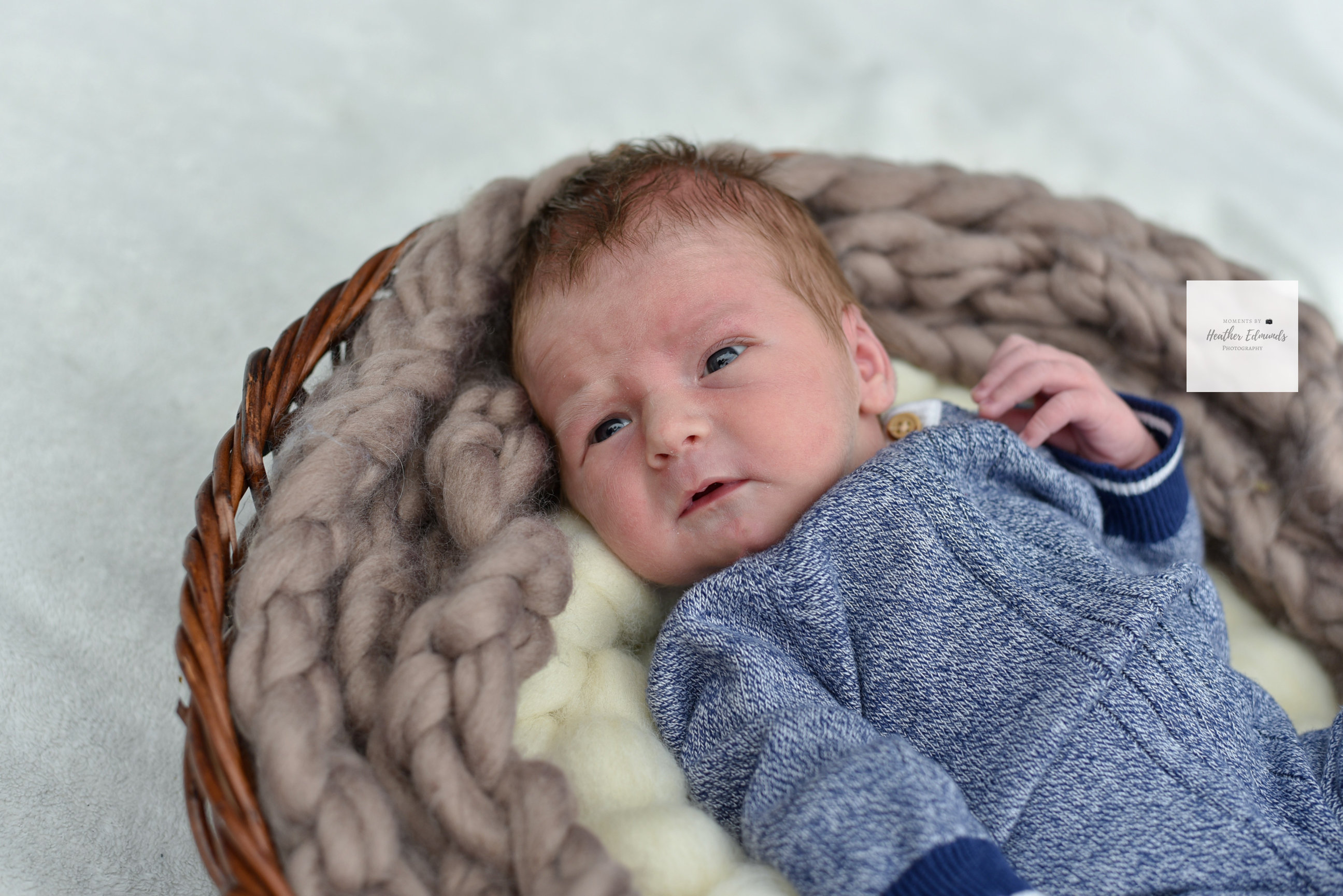 The Snodgrass Family - Moments by Heather Edmunds & Company