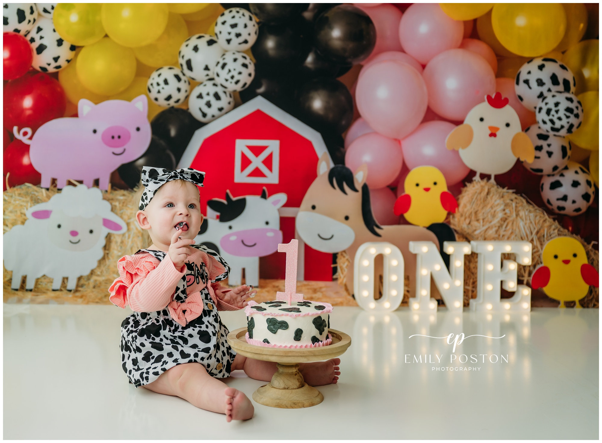 Scotlynn's First Birthday Barnyard Cake Smash Photos - Emily Poston ...