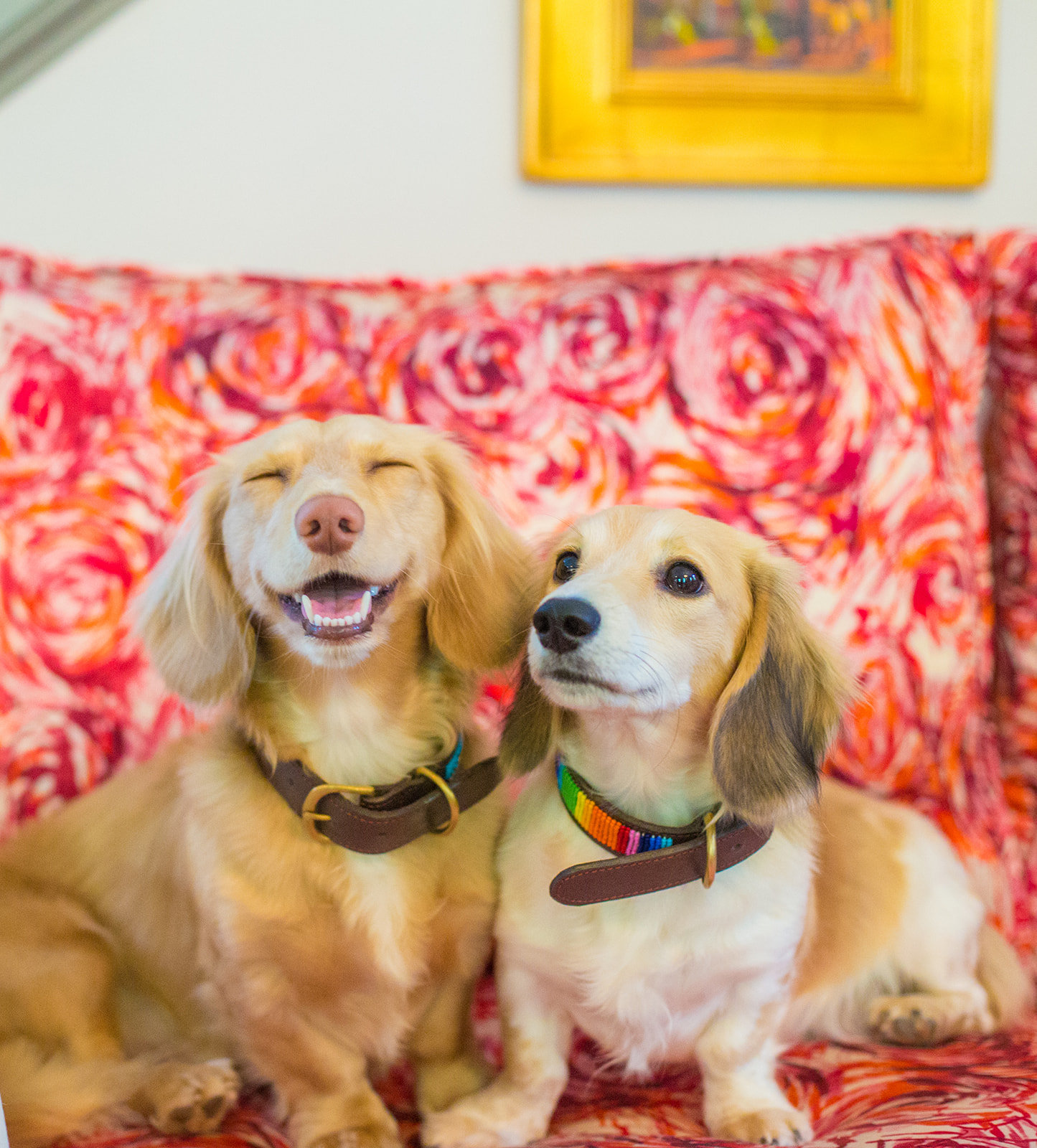 Jenn Cady Photography | Top Family Photographer Charleston SC