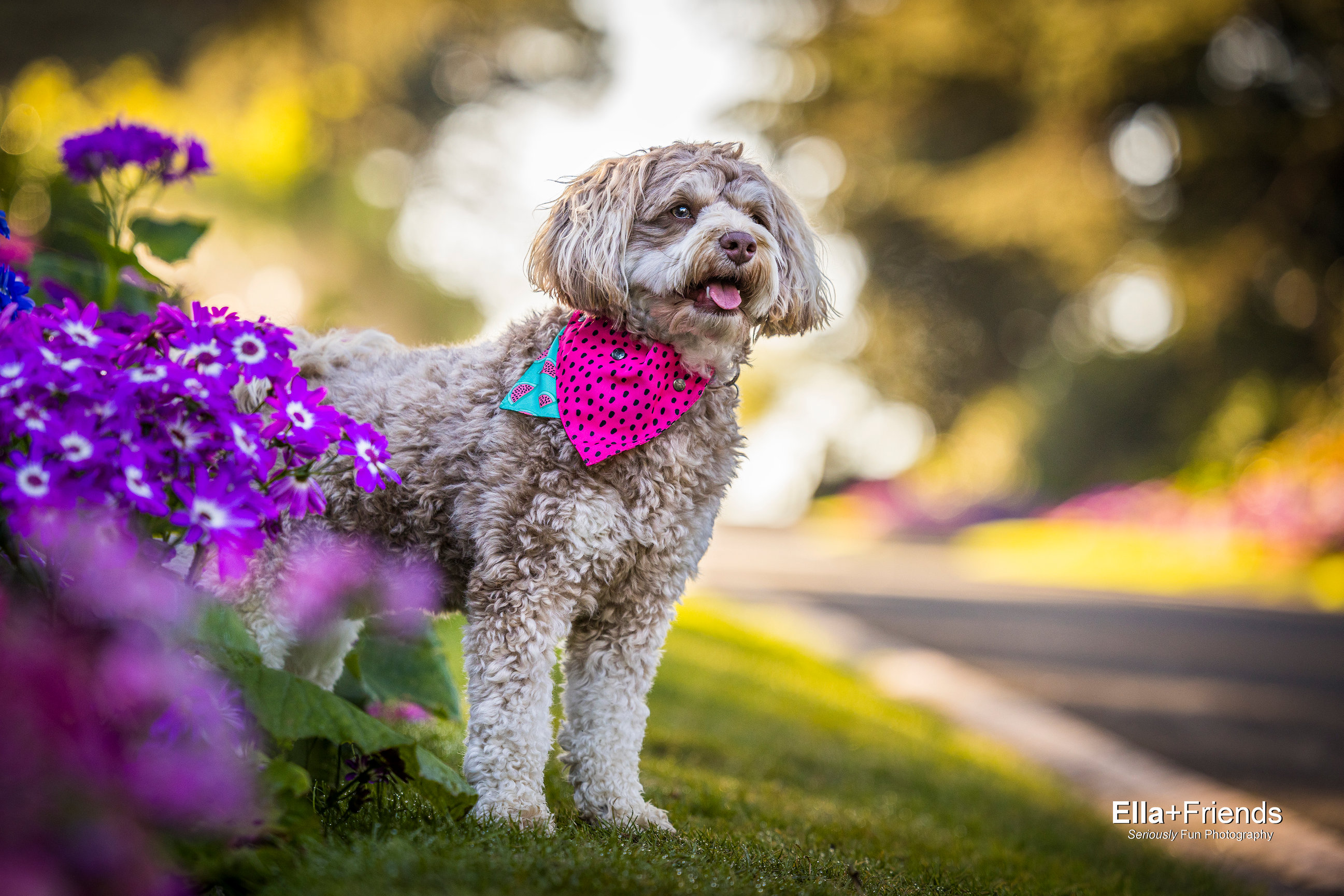 Fitzroy Gardens Melbourne - Ella + Friends