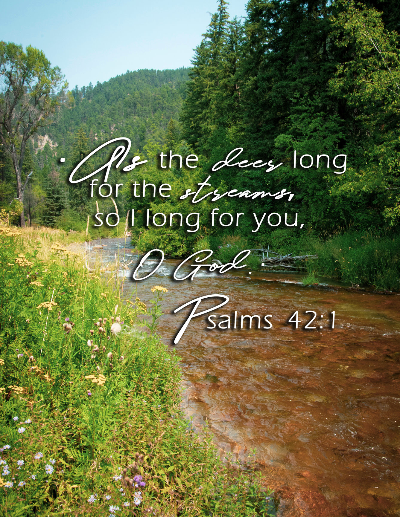 Scripture Pictures - Goken-Gordon Photography