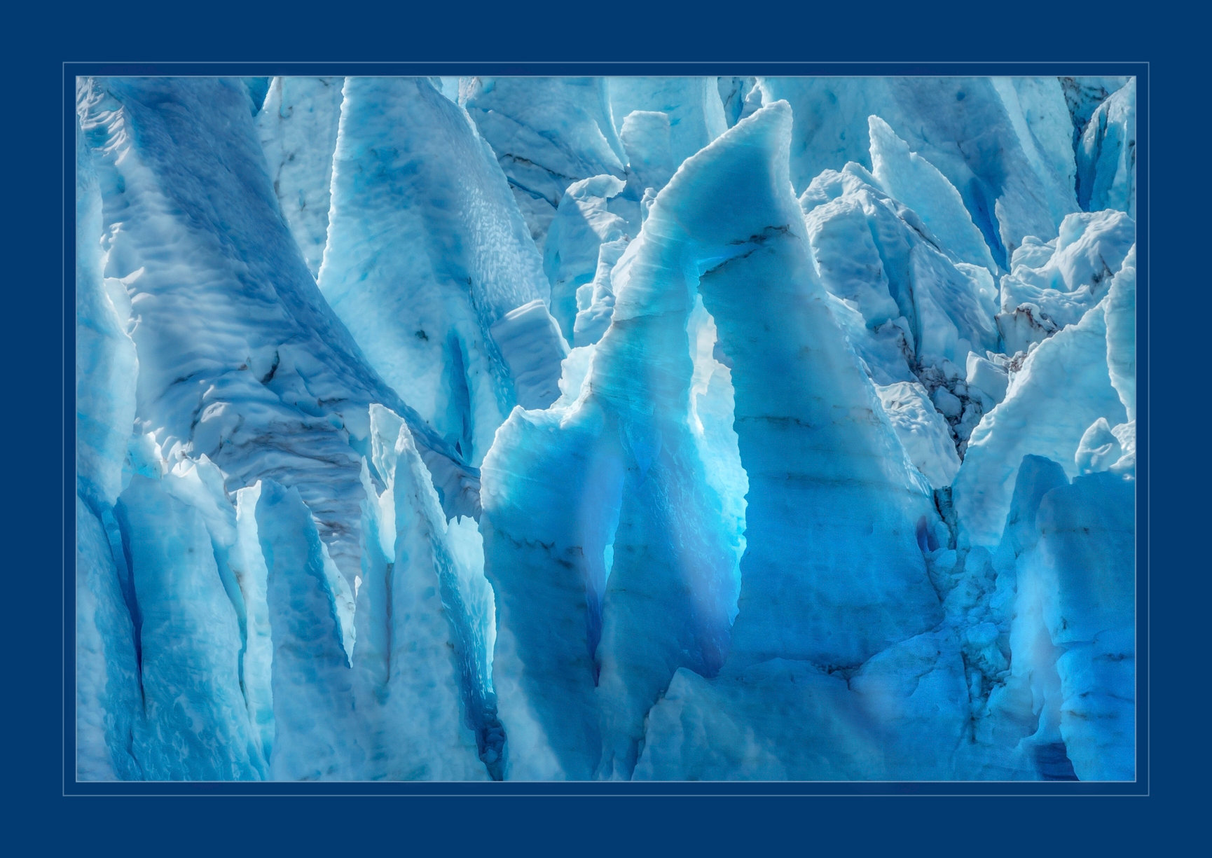 Virginia Professional Photographer's Association (VPPA)