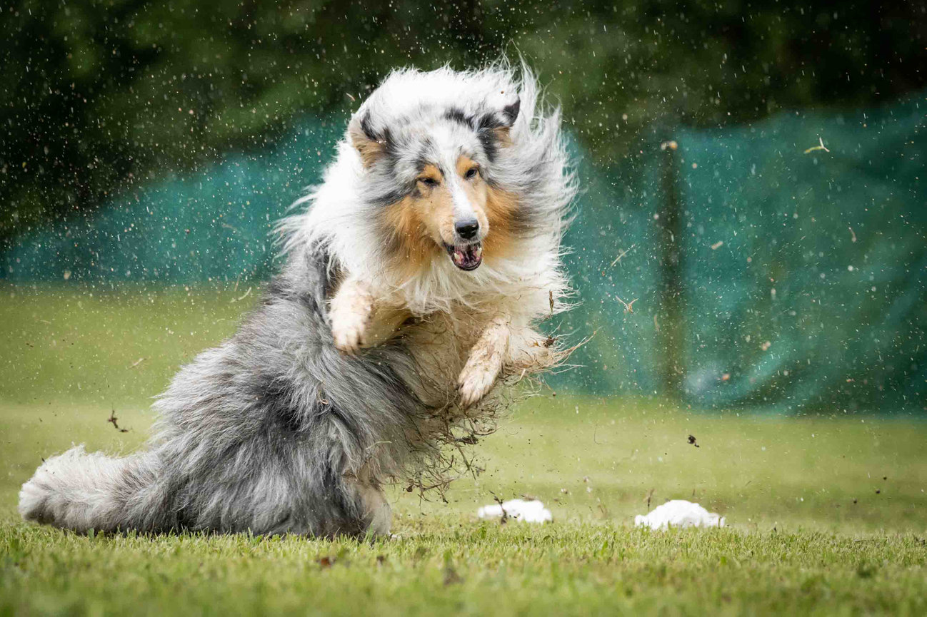 HOME - Brian Batista Photography