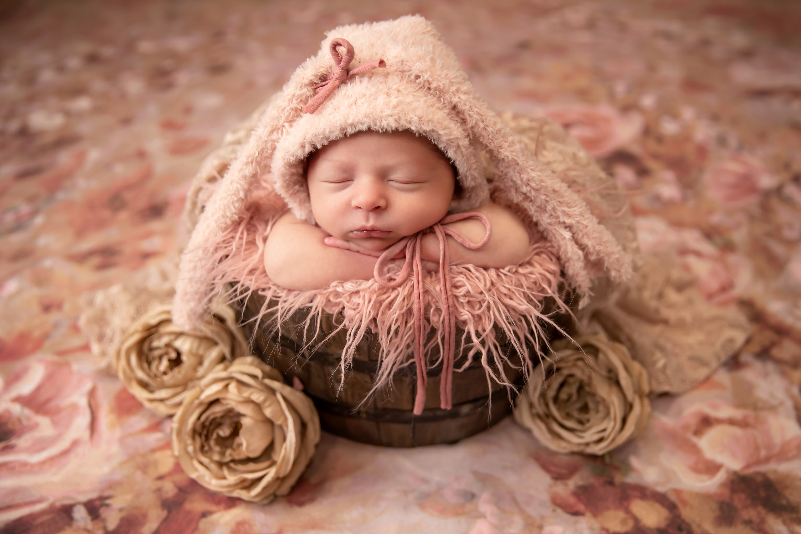 Newborn and Maternity Portrait photographer in Bloomington, MN.