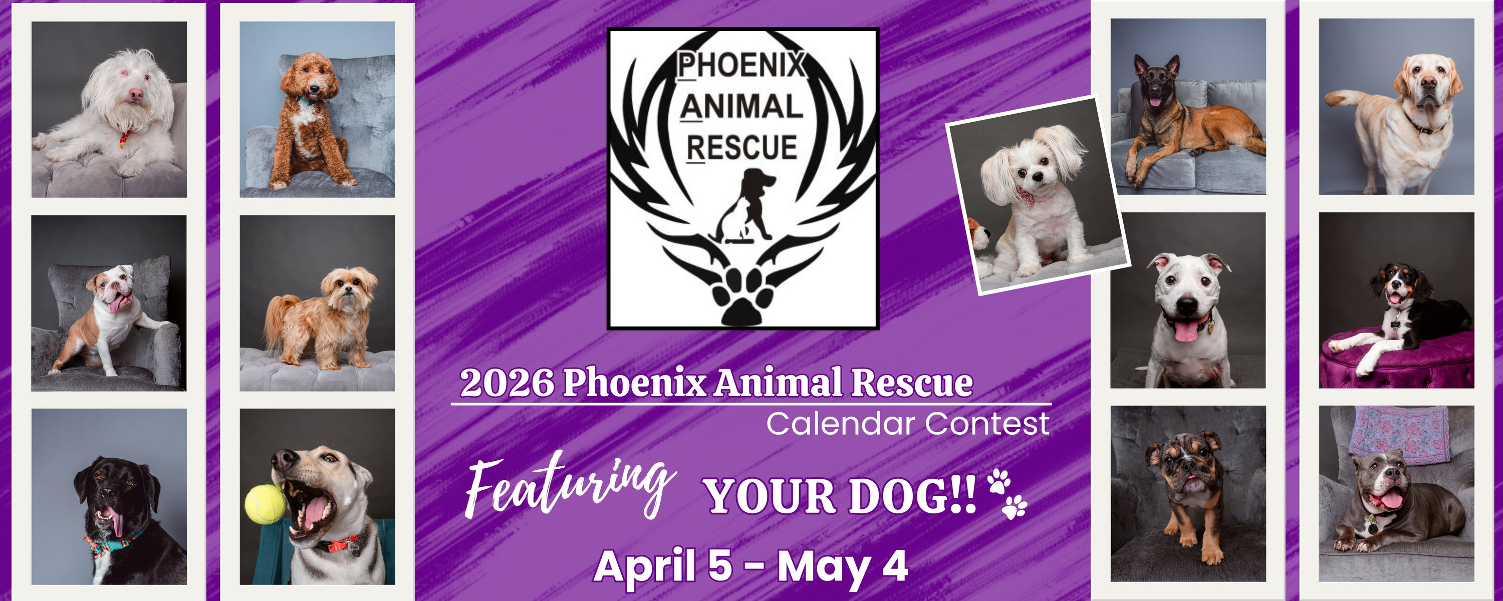 The 2026 Phoenix Animal Rescue Calendar Contest Kicks off this Spring ...