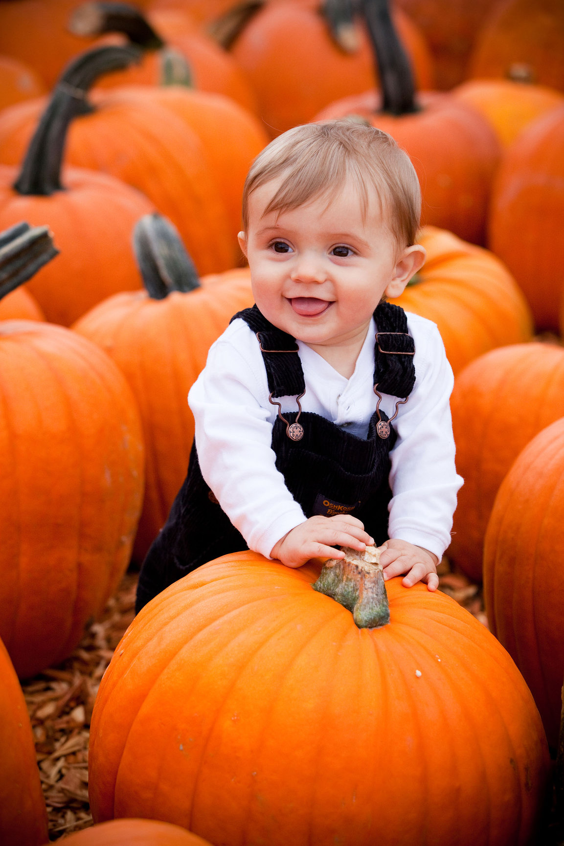 Autumn portraits by Chris Watkins