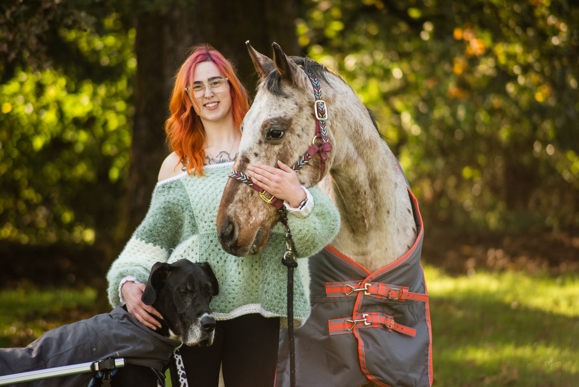 Paws and Pose: 10 Reasons Why Professional Photos with Your Dog Are a ...