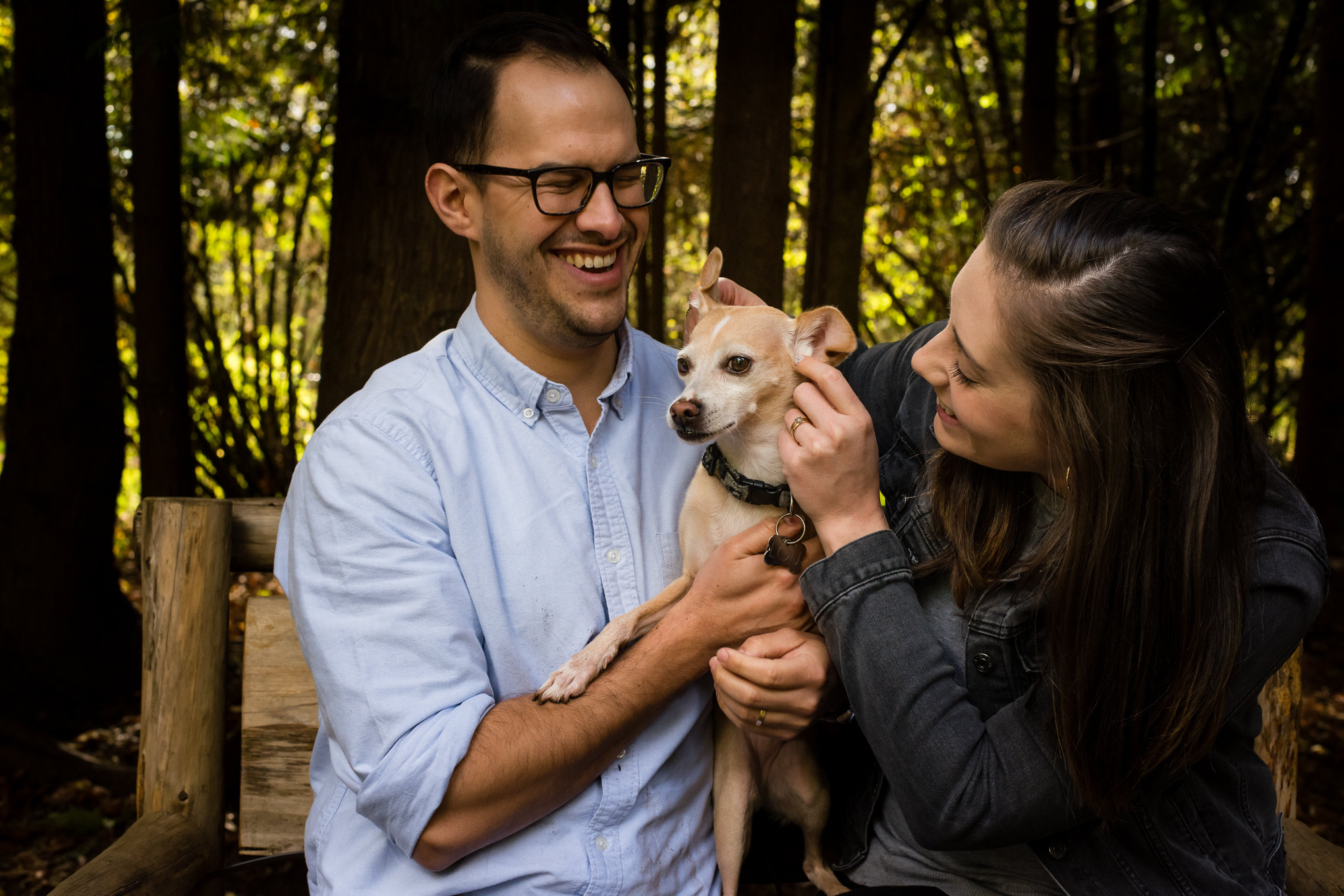 Paws and Pose: 10 Reasons Why Professional Photos with Your Dog Are a ...
