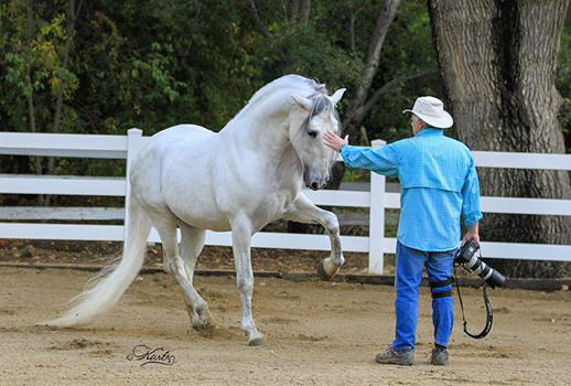 Mentoring - Scott Trees Photography