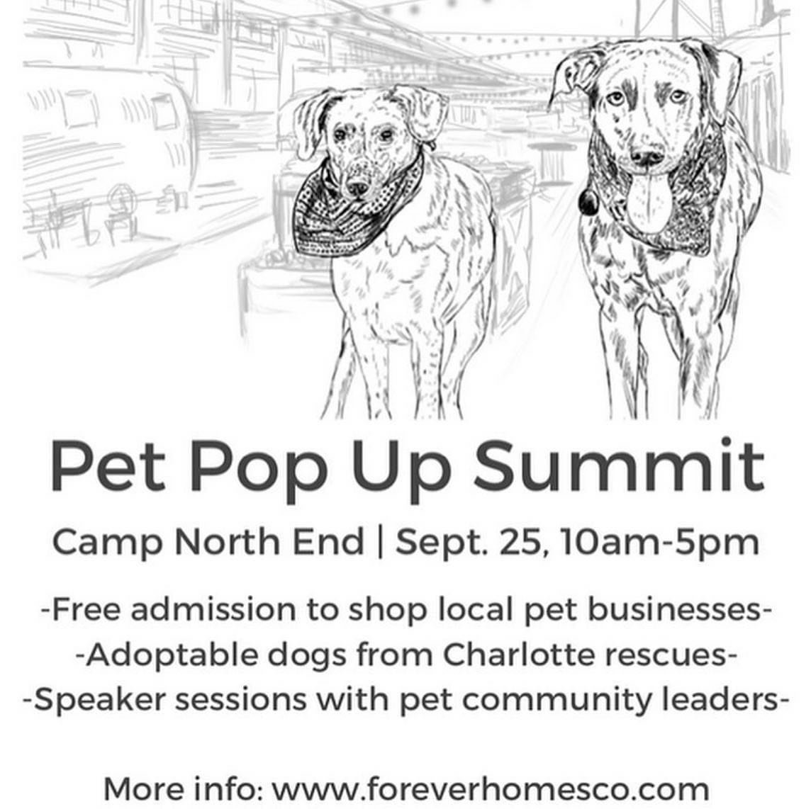 Talking Tails - Pet Pop Up Summit - Reflections by Rhiannon