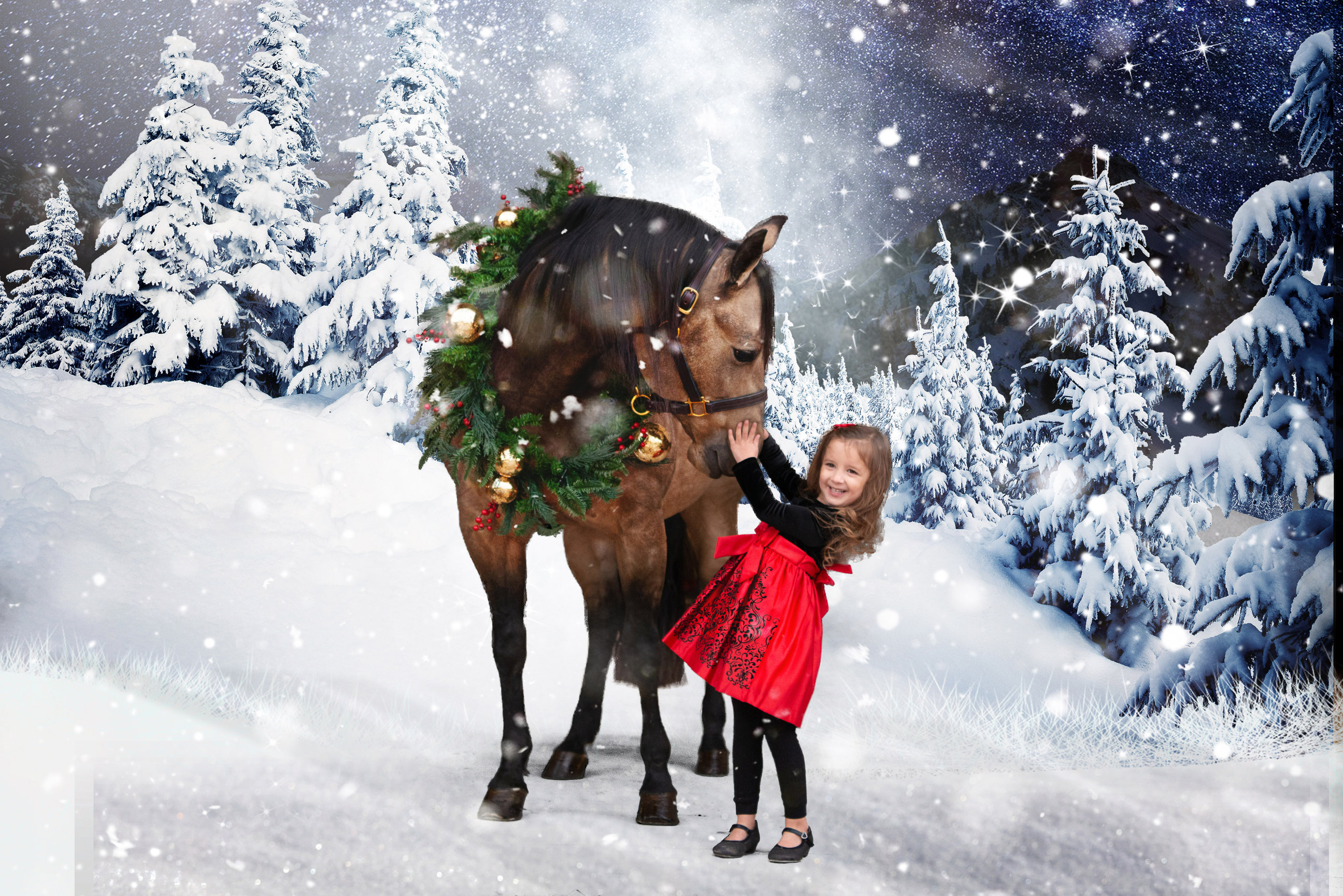 Wedding, Senior & Horse Show Photographer in Butler & Pittsburgh PA