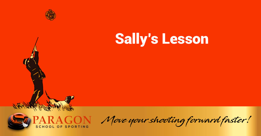 Sally's Lesson