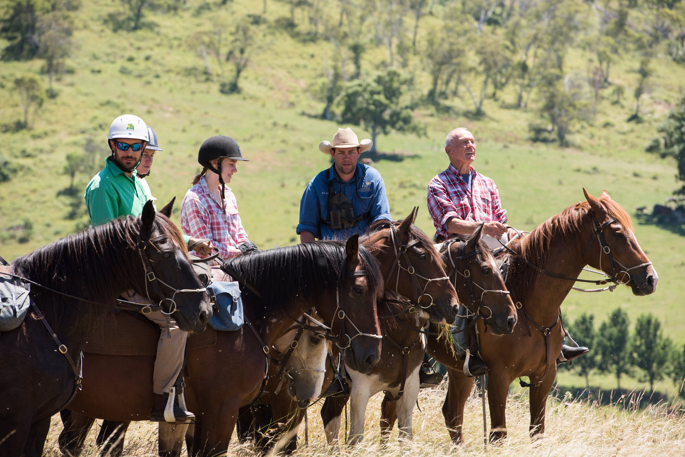 Packer's High Country Horse Riding - Rolling Stills
