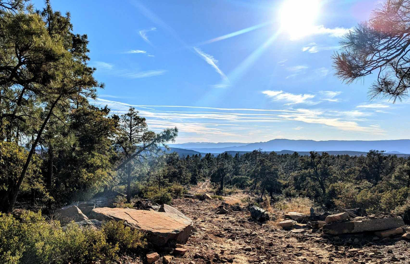 Exploring Pine, Arizona: Dog-Friendly Trails, Food, and More
