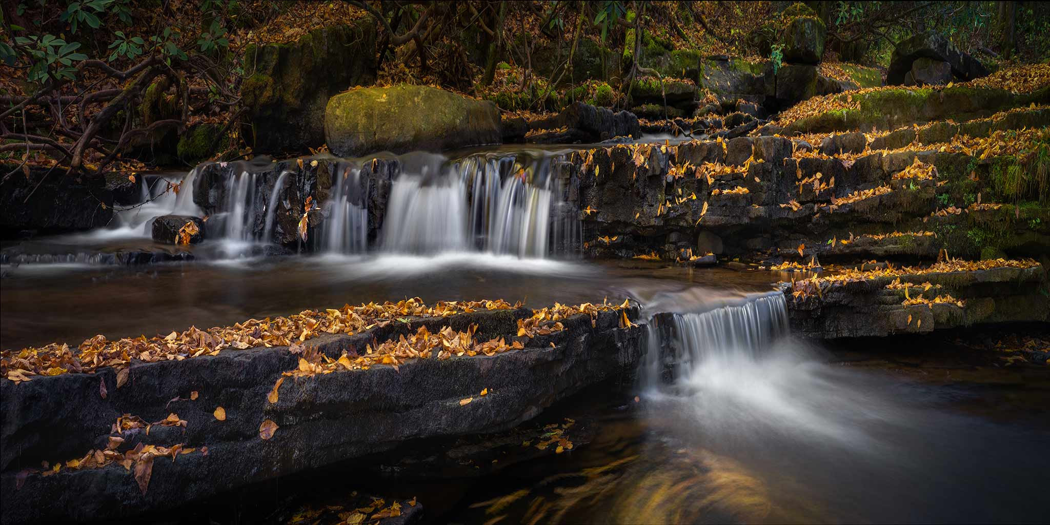 Autumn Repose - Rob Strain