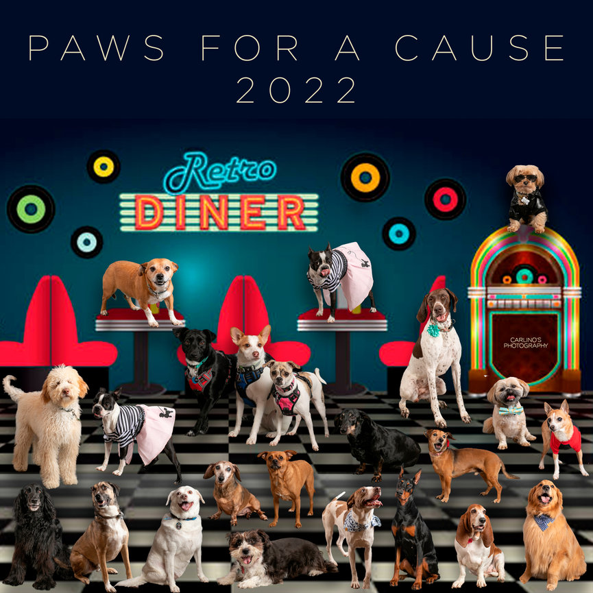 Paws for a Cause - Carlino's Photography
