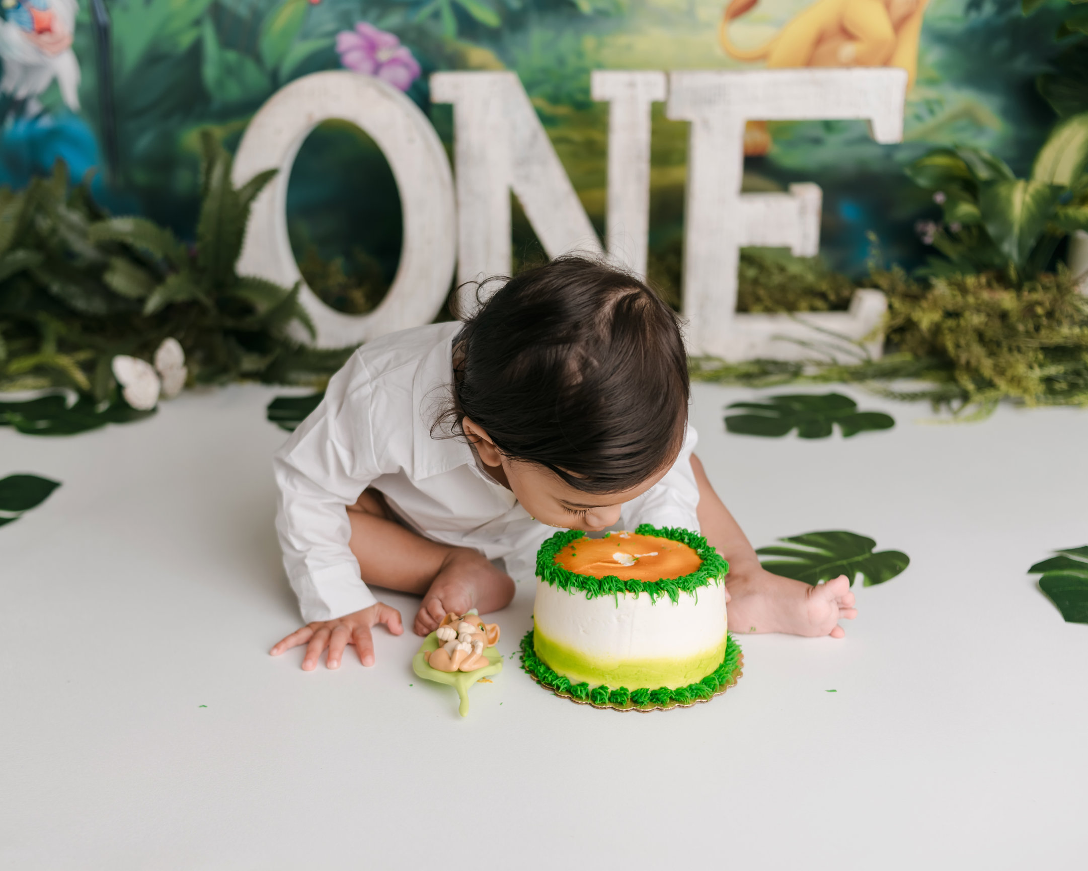 Simba/Safari Themed Smash & Splash - Bolt Photography