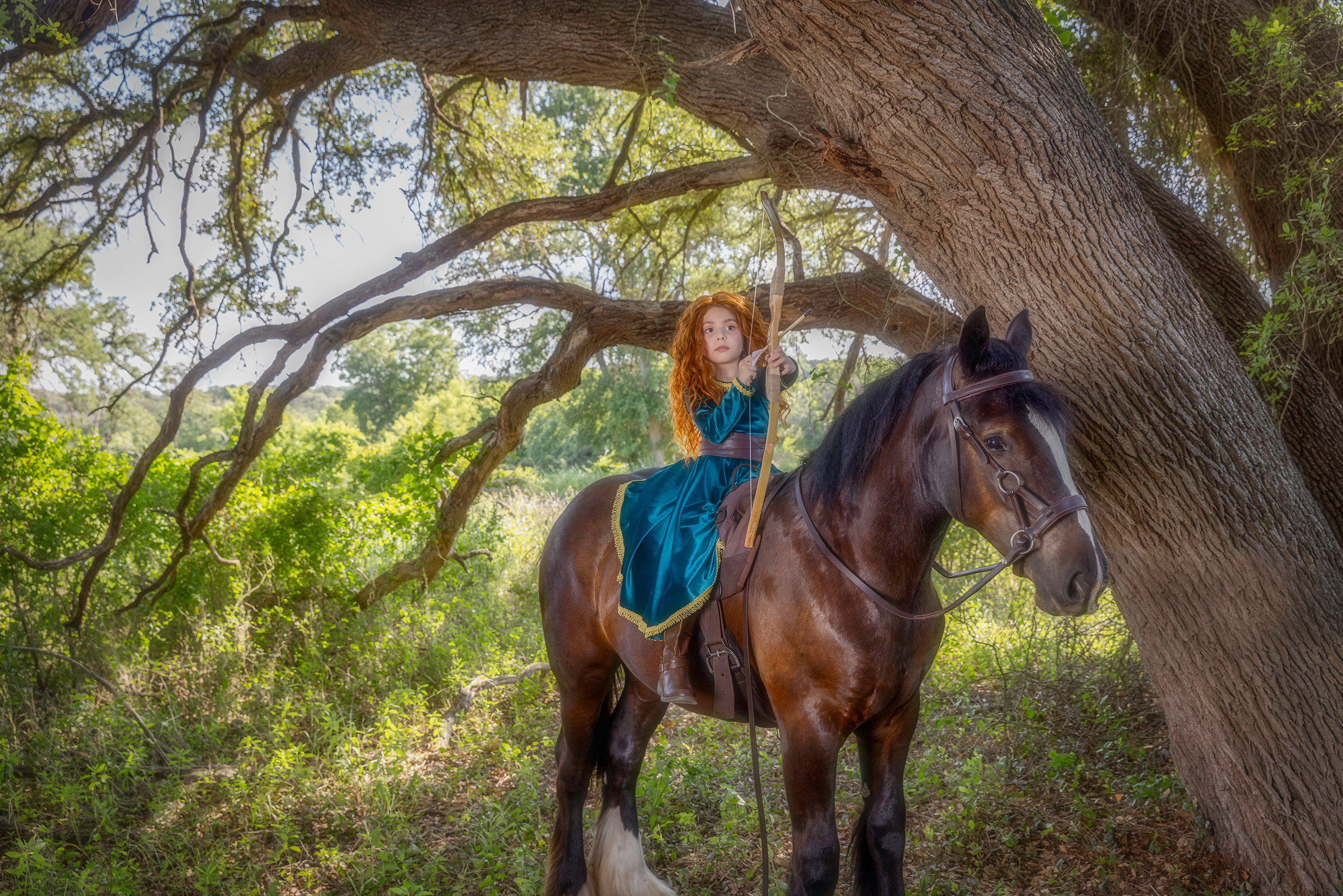 Brave Stella - John Mohar Photography