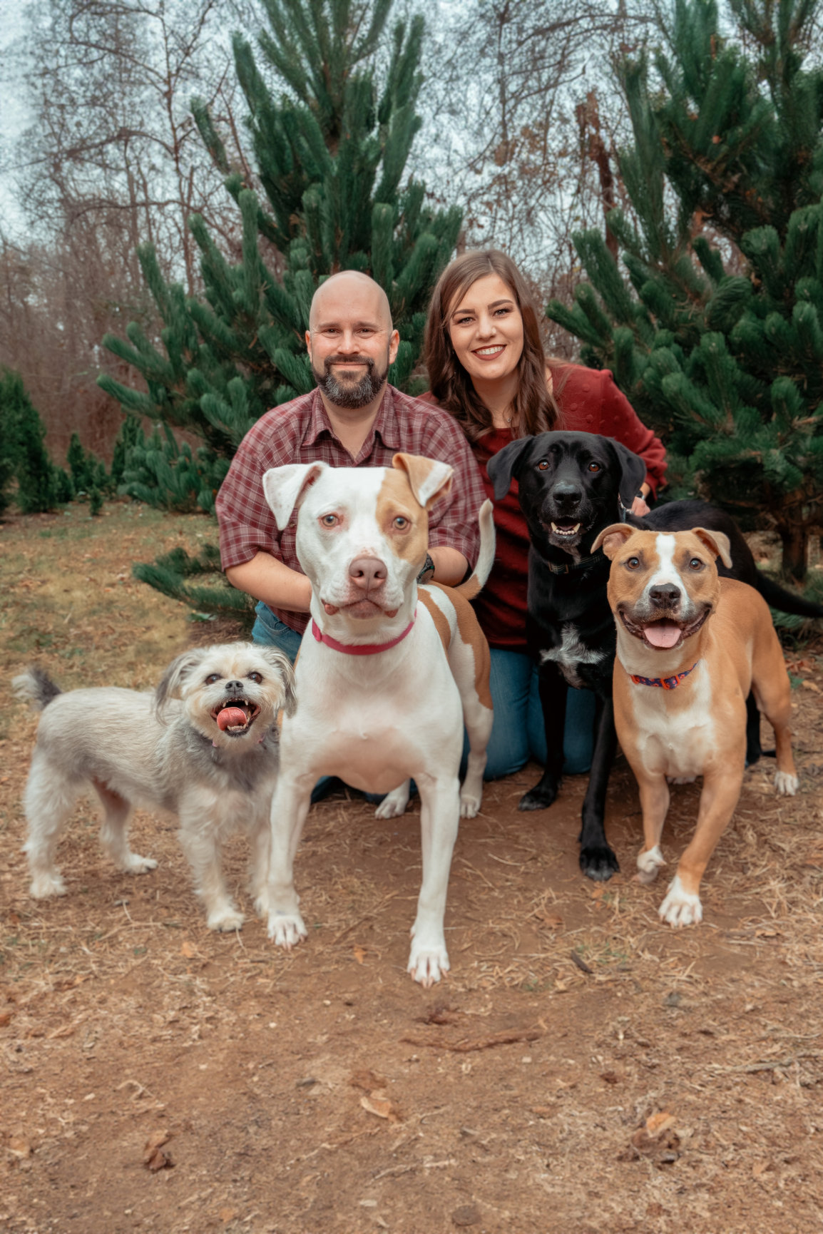 Snoots Pet Photography | Tulsa Dog Photographer