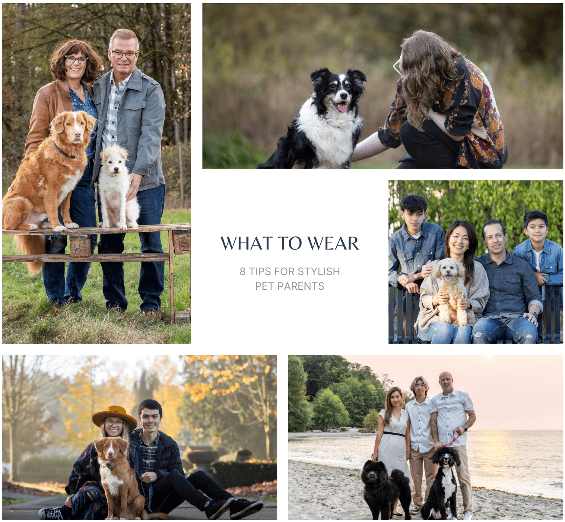 What to Wear to Your Pet Photography Session: Tips for Pet Parents ...